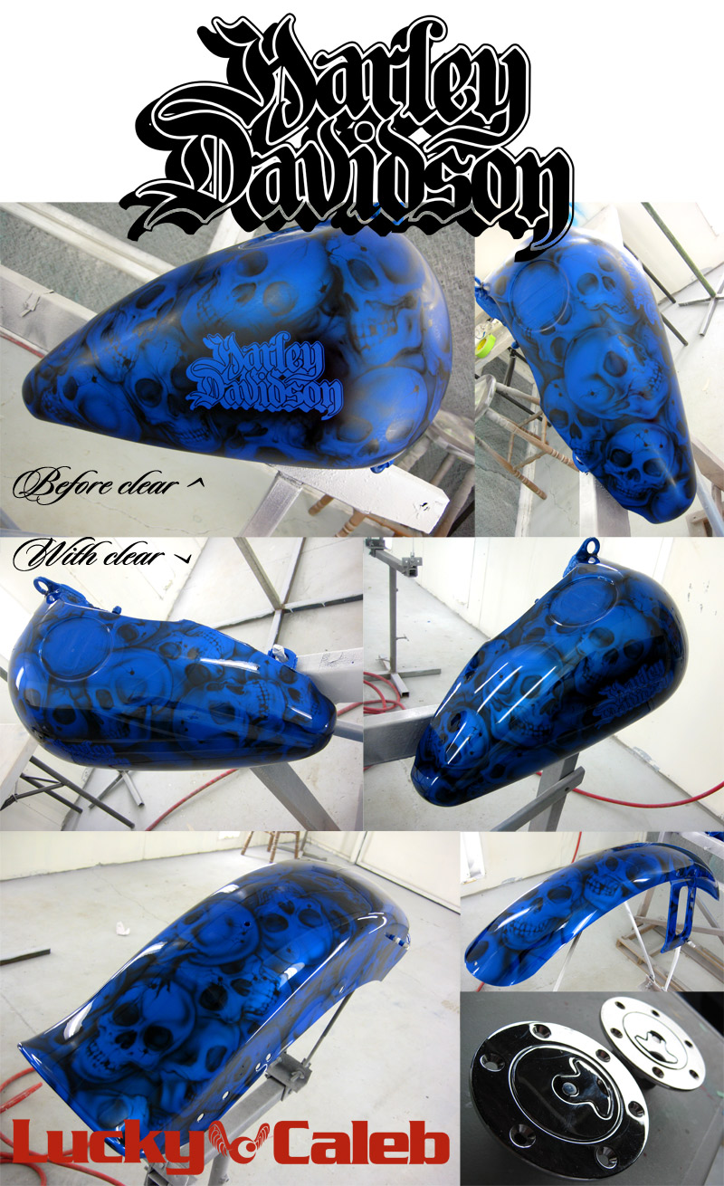 Tin exchange set Softail Blue Skulls